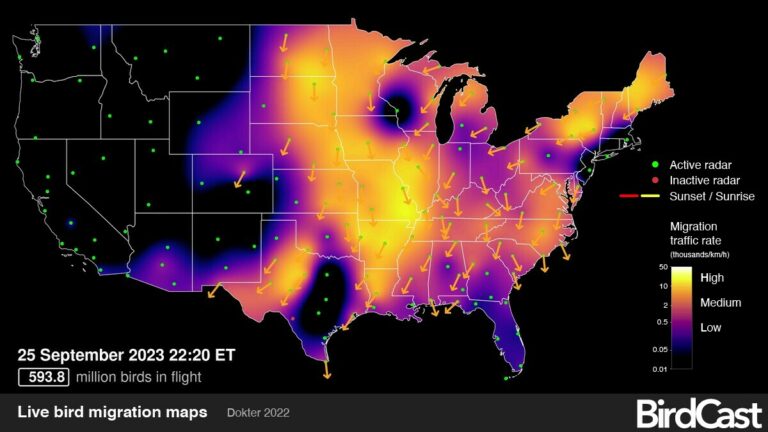 How On Earth – The KGNU Science Show