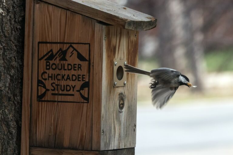 How On Earth – The KGNU Science Show